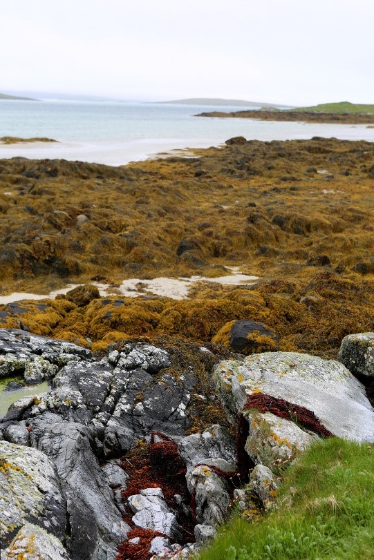 Malcolm Gibson Earns His M.Sc. in Marine Resource Management